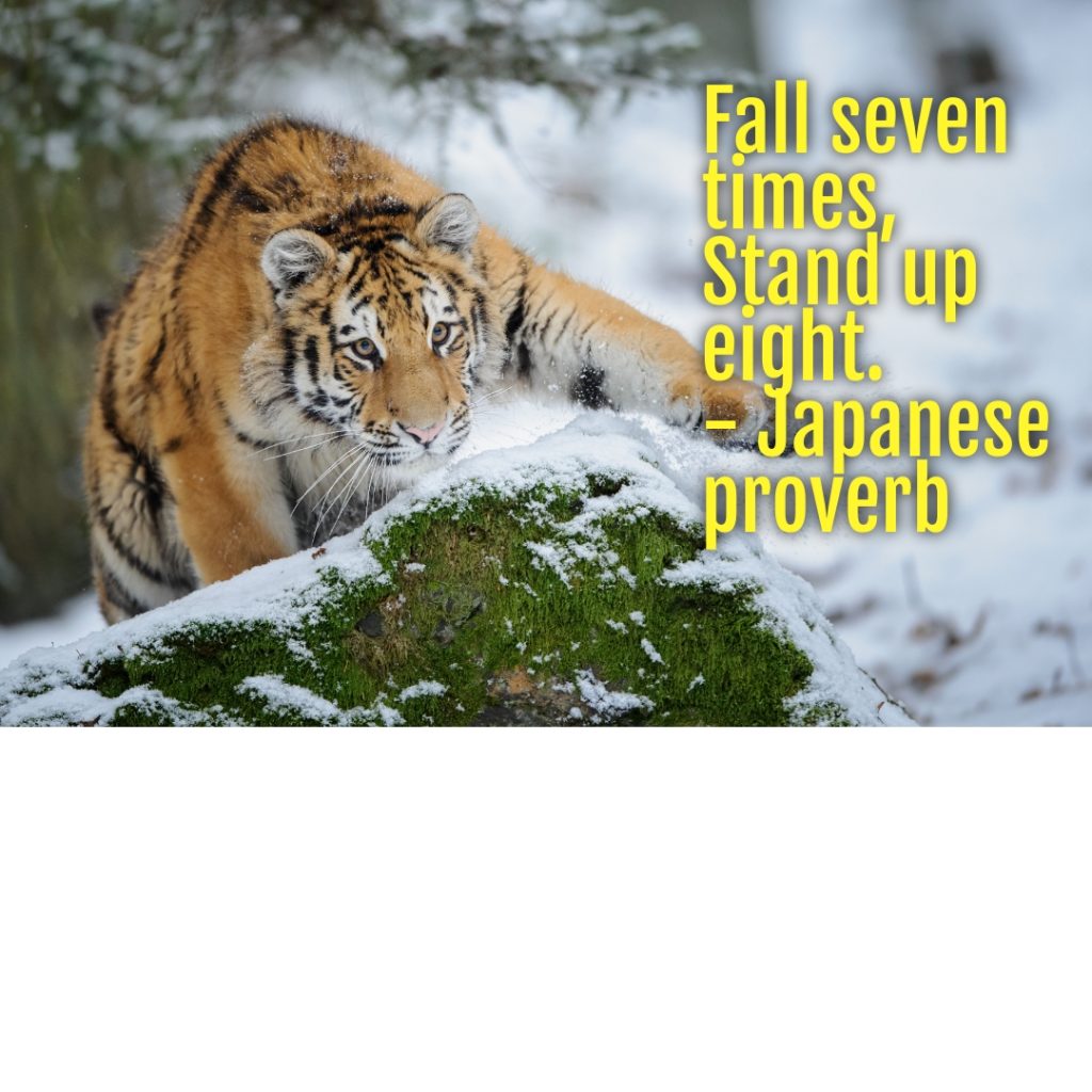 Keep on standing back up | Alyssa Day